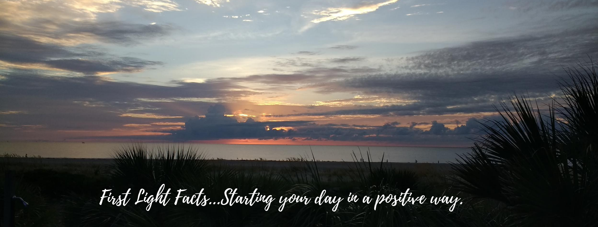 First Light Facts - VIS Volunteers